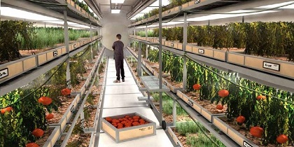 ACHIEVING SELF-RELIANCE